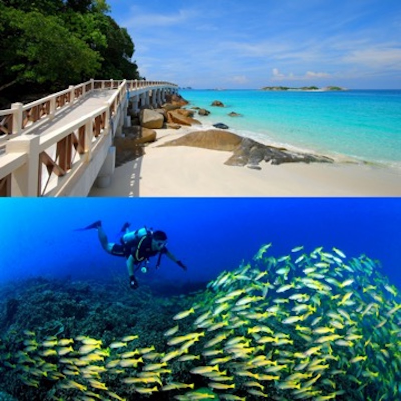 7 Fantastic Diving Spots In Malaysia For Those Who Are Just Getting ...
