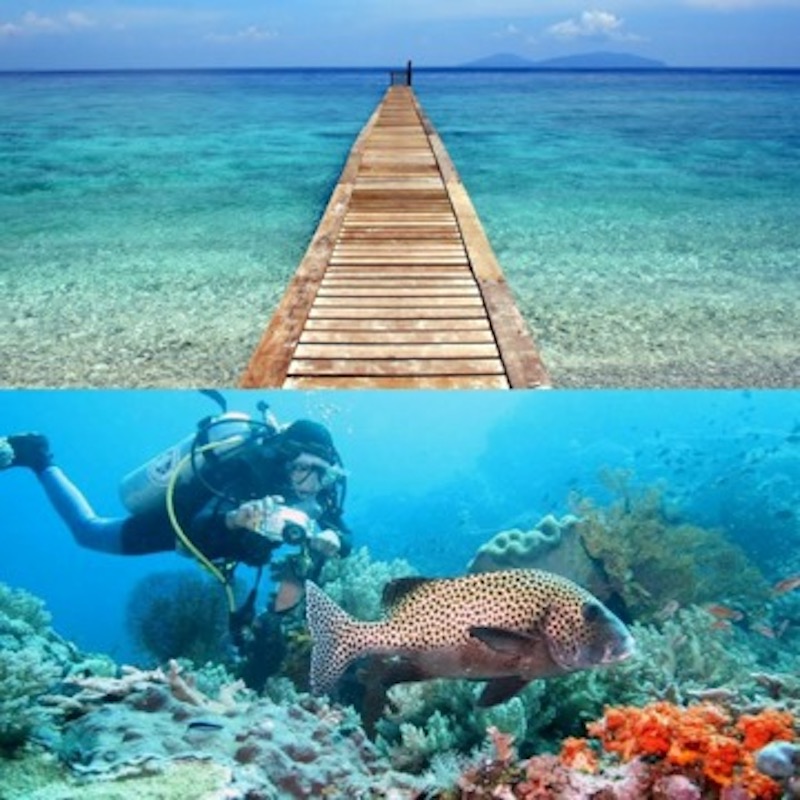7 Fantastic Diving Spots In Malaysia For Those Who Are Just Getting ...