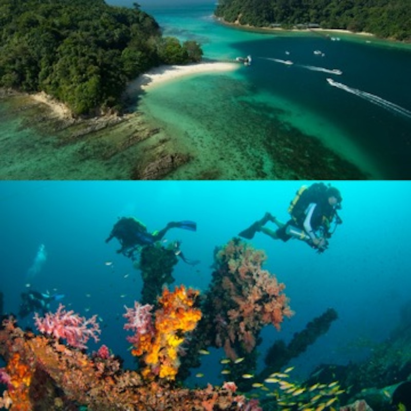 7 Fantastic Diving Spots In Malaysia For Those Who Are Just Getting ...