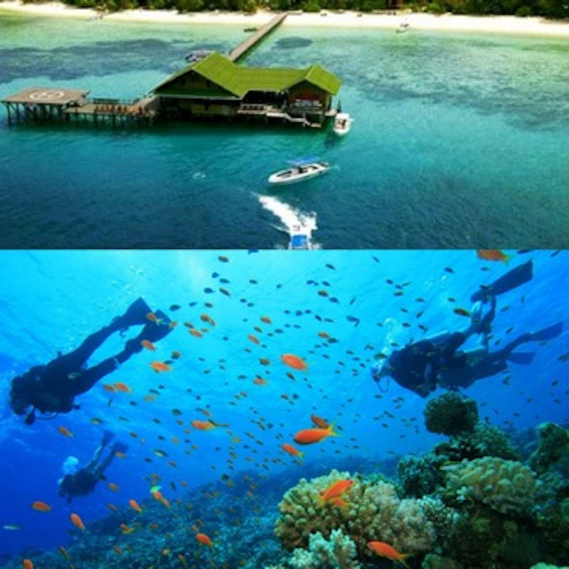7 Fantastic Diving Spots In Malaysia For Those Who Are Just Getting ...