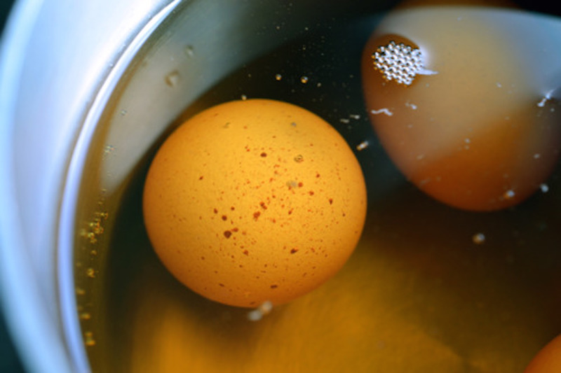 5 Weird Delicacies From Different Parts Of The World – SevenPie.com ...