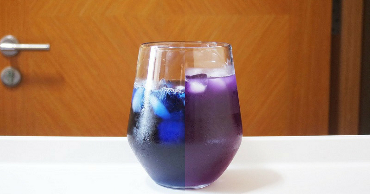 butterfly pea flower tea header – SevenPie.com: Because Everyone Has A ...