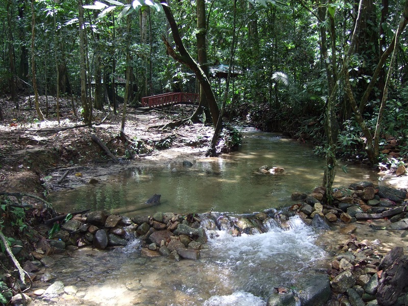 5 Breathtaking Places To Go For A Hike In West Malaysia – SevenPie.com ...