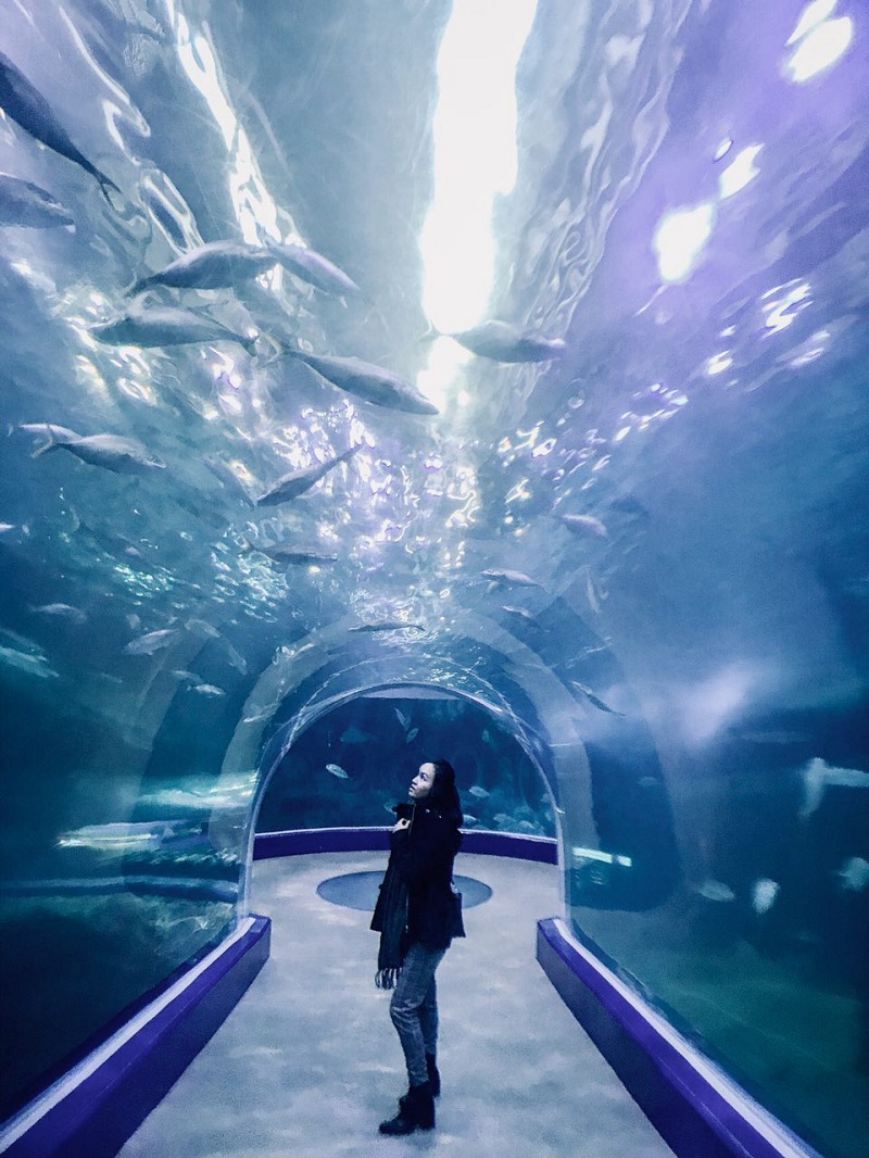 From Incheon To Jeonju, These Are The 9 Must-Visit Places To Have A ...