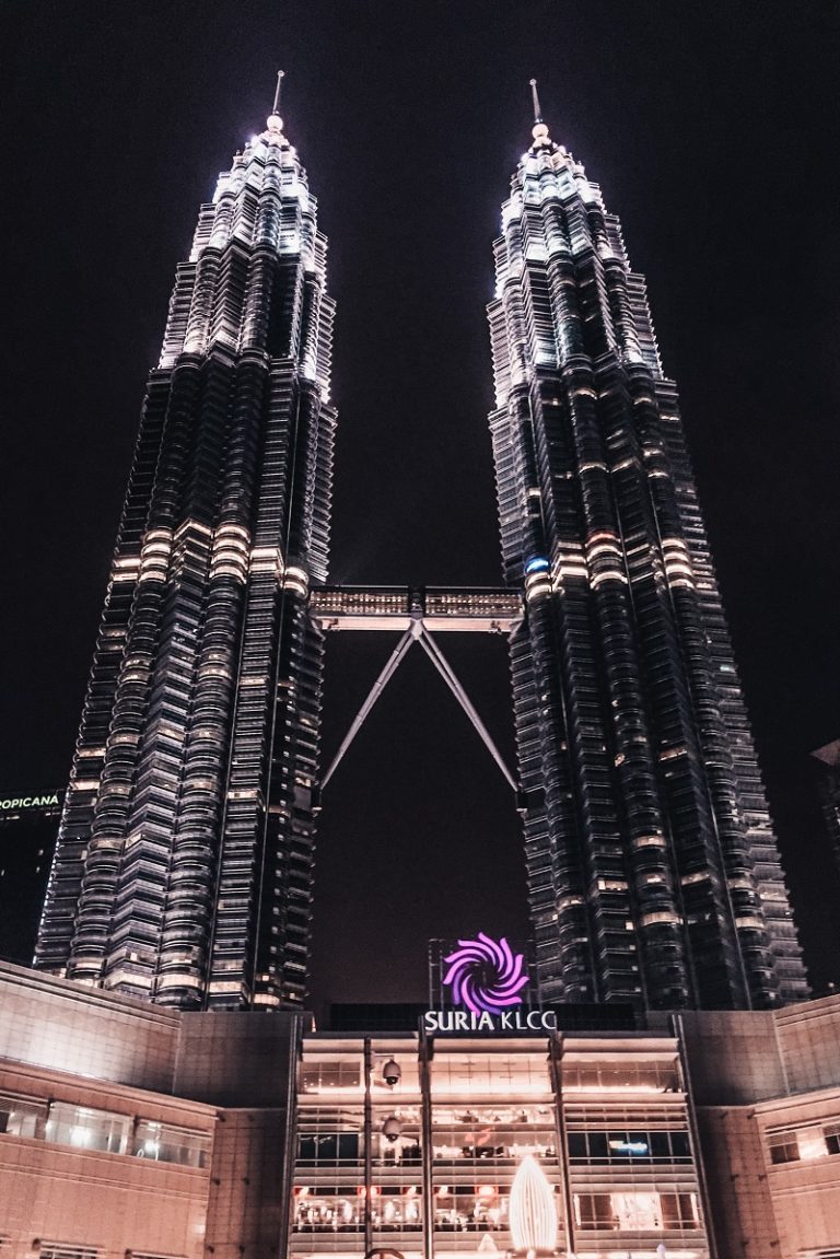 7 National Symbols Of Malaysia That Every Malaysians Should Know ...
