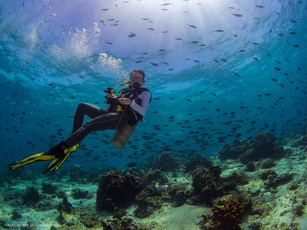 5 MUST-DO EXPERIENCES ON TIOMAN ISLAND – SevenPie.com: Because Everyone ...